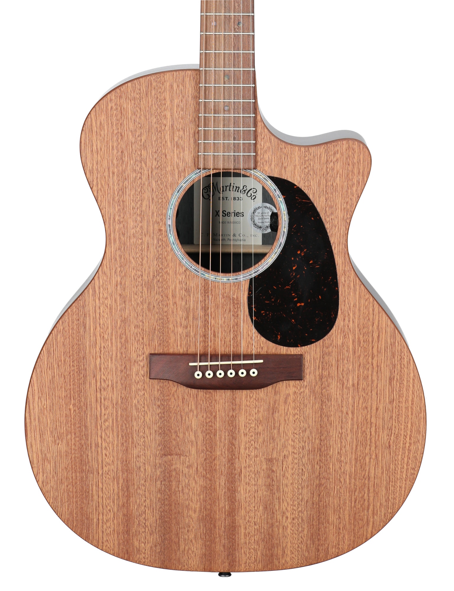Martin GPC-X2E Cocobolo Acoustic Electric Guitar with Gigbag