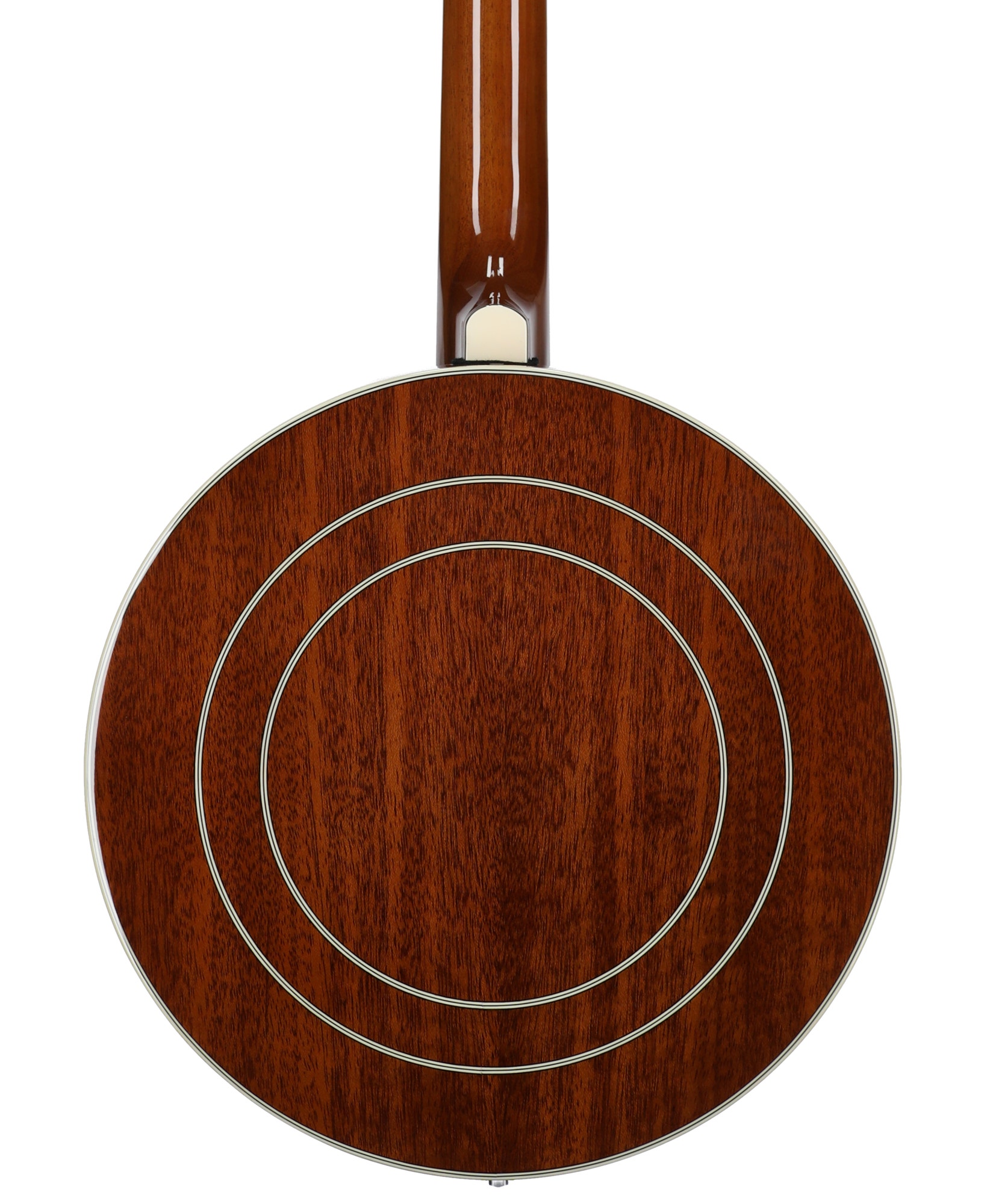 Epiphone Mastertone Classic 5 String Banjo Natural with Gig Bag