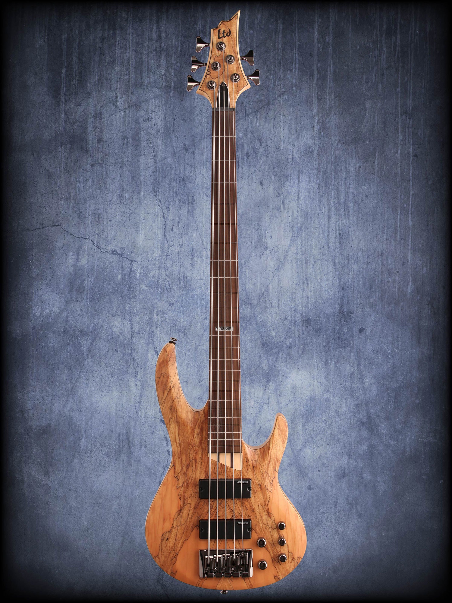 ESP LTD B205SM-FL Fretless 5 String Electric Bass Guitar | American ...