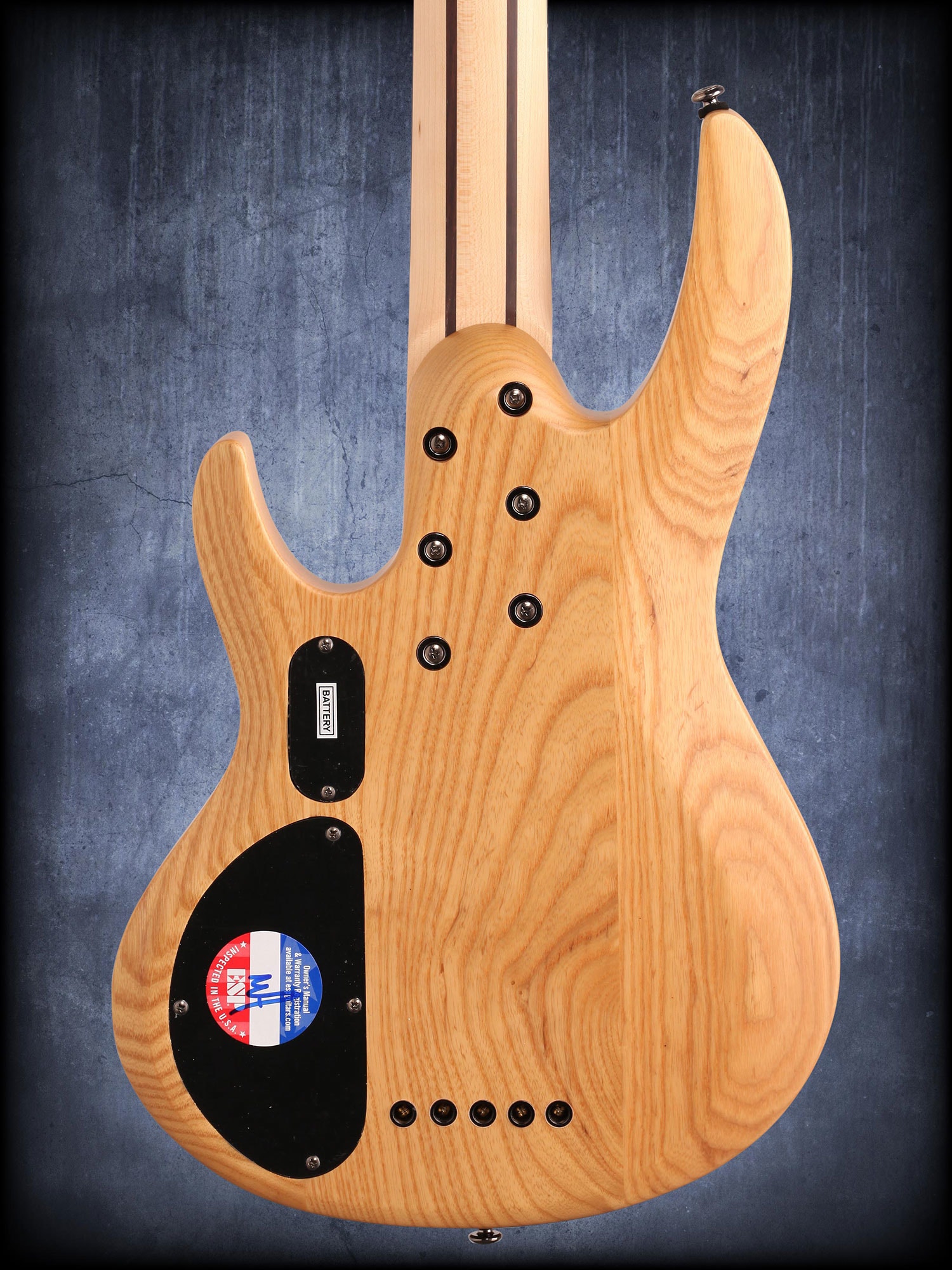 ESP LTD B205SM-FL Fretless 5 String Electric Bass Guitar | American ...