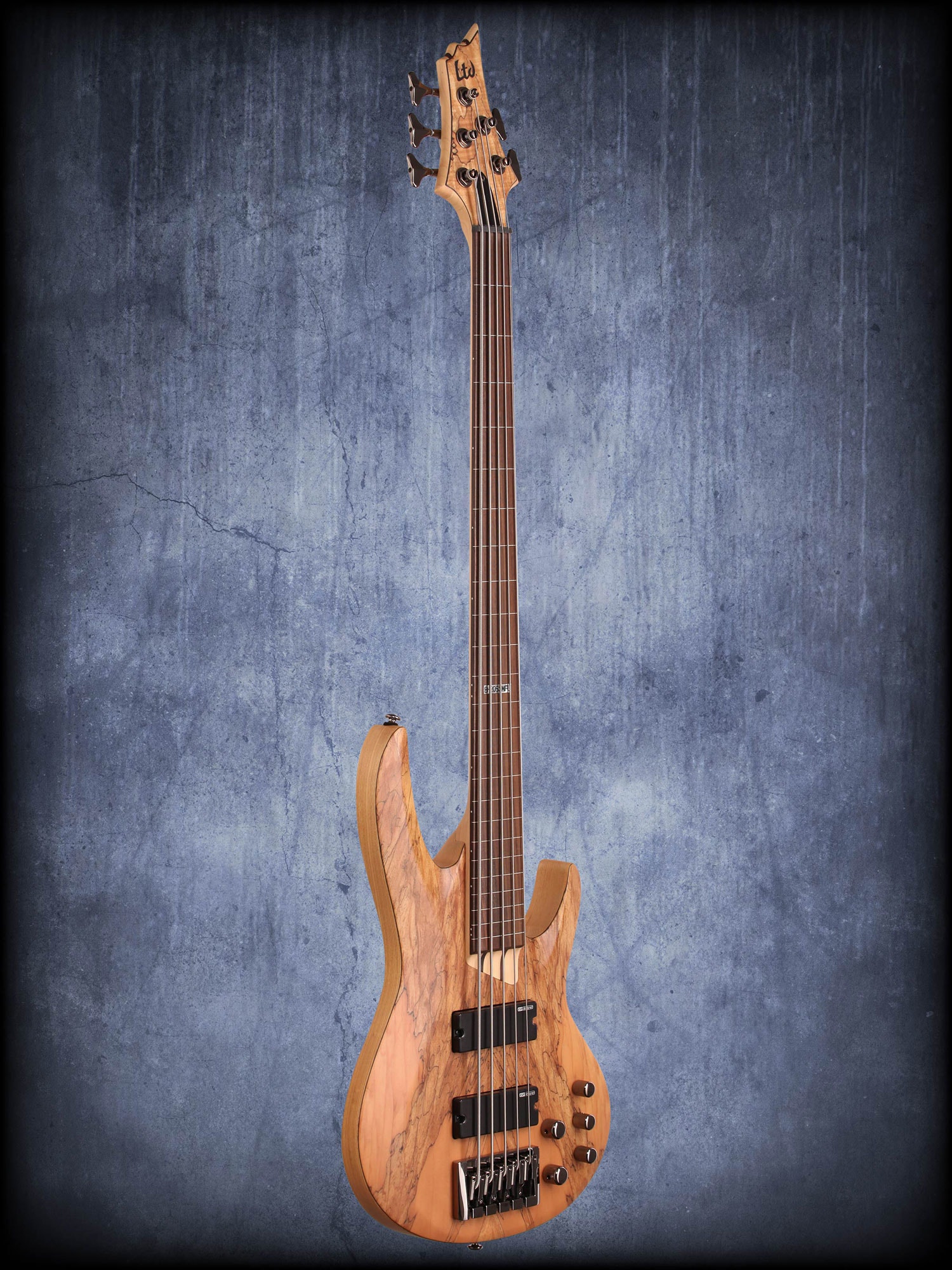 ESP LTD B205SM-FL Fretless 5 String Electric Bass Guitar | American ...