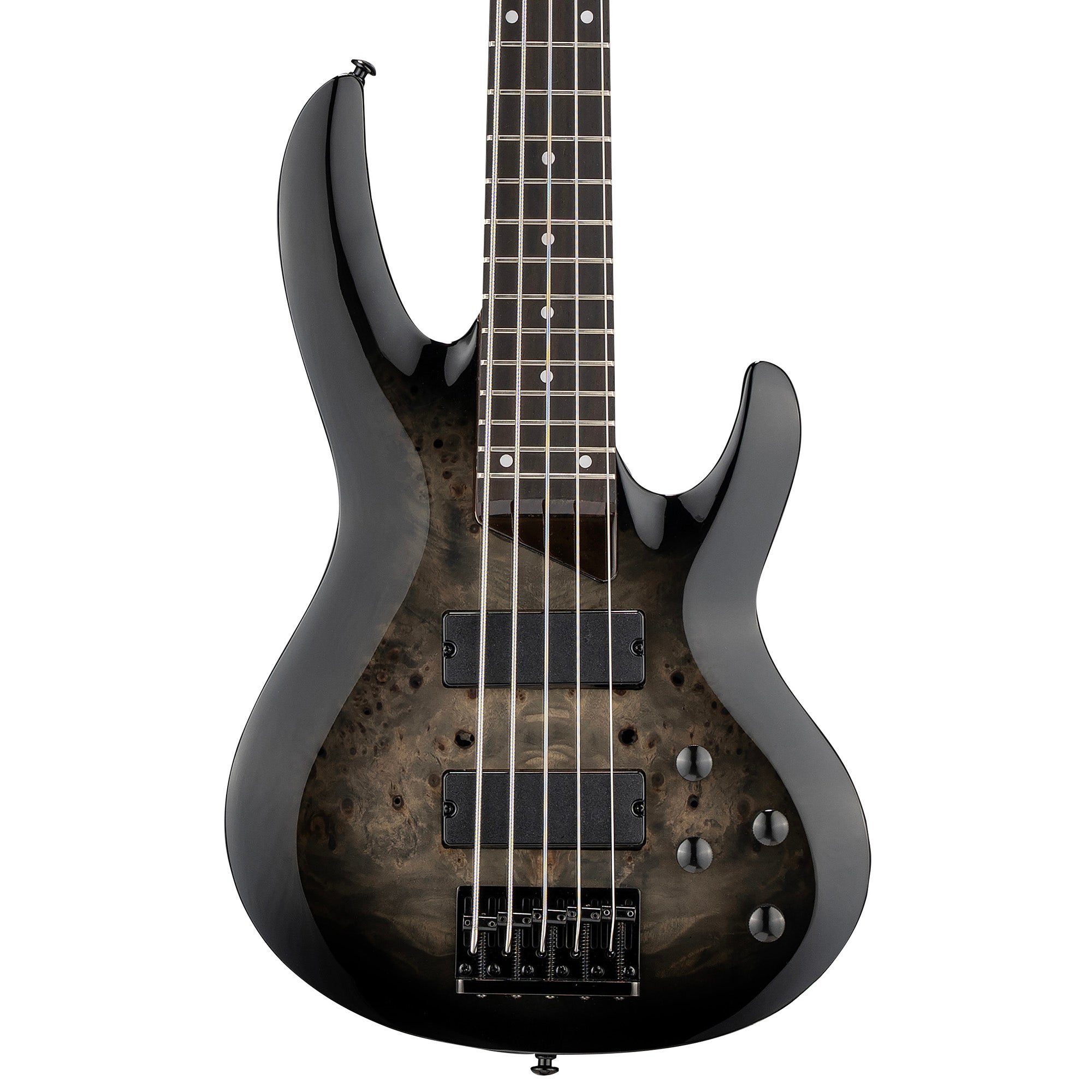 ESP LTD B-205DX 5-String Bass Guitar