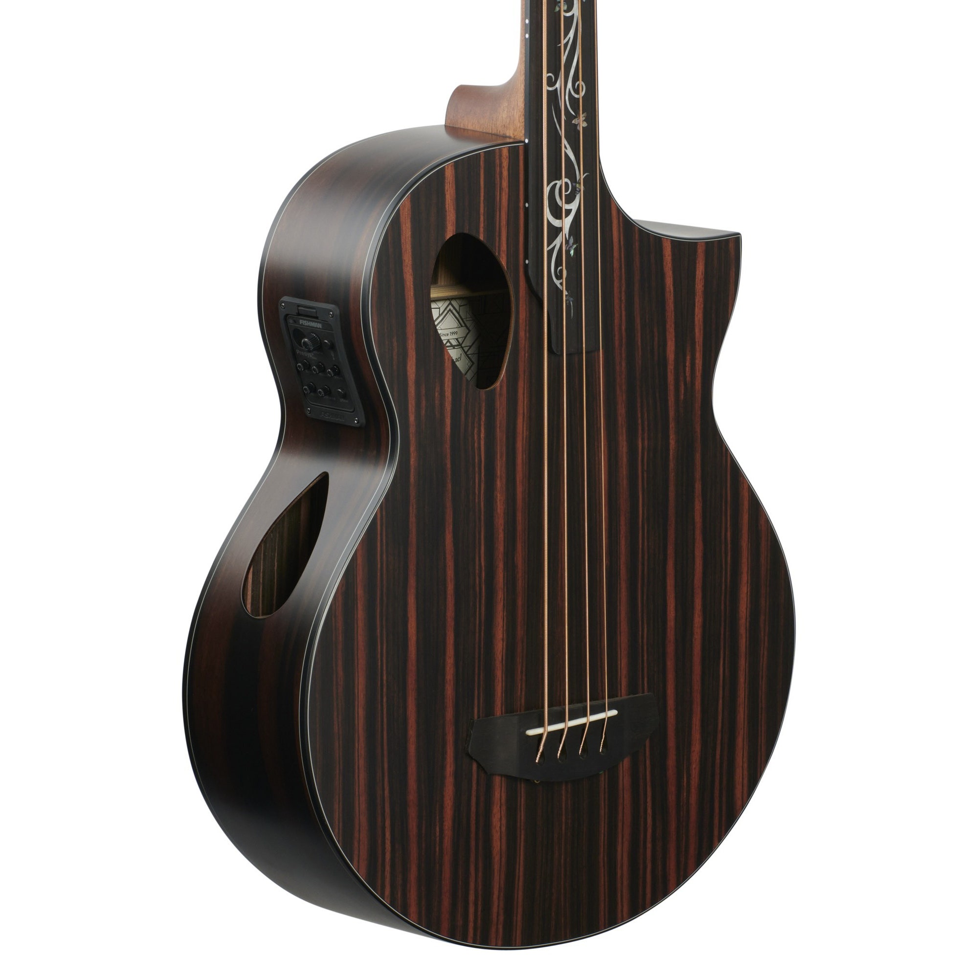 Michael Kelly Dragonfly 4 Port Fretless Acoustic Electric Bass Guitar ...