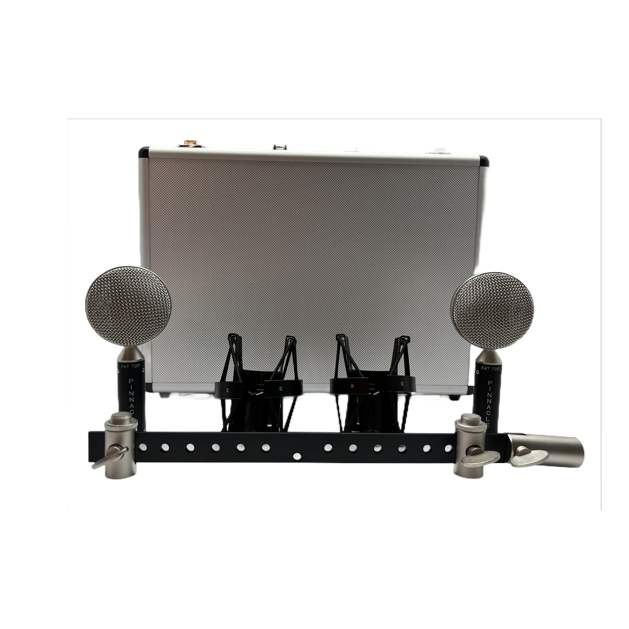 Pinnacle Microphones Fat Top Ribbon Microphones Pair