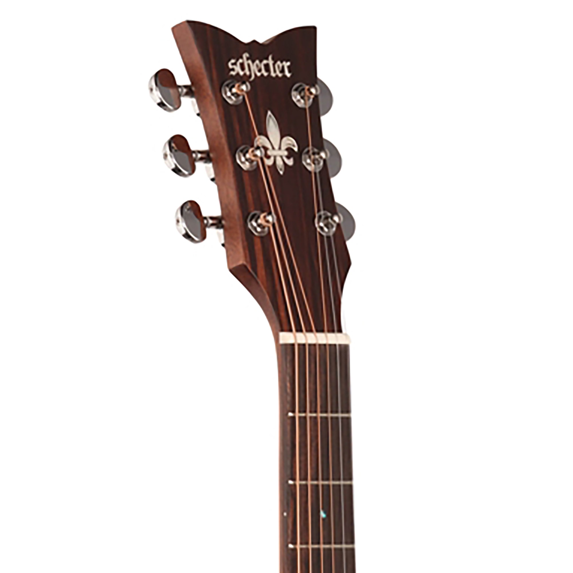 Schecter Deluxe Acoustic Guitar | American Musical Supply