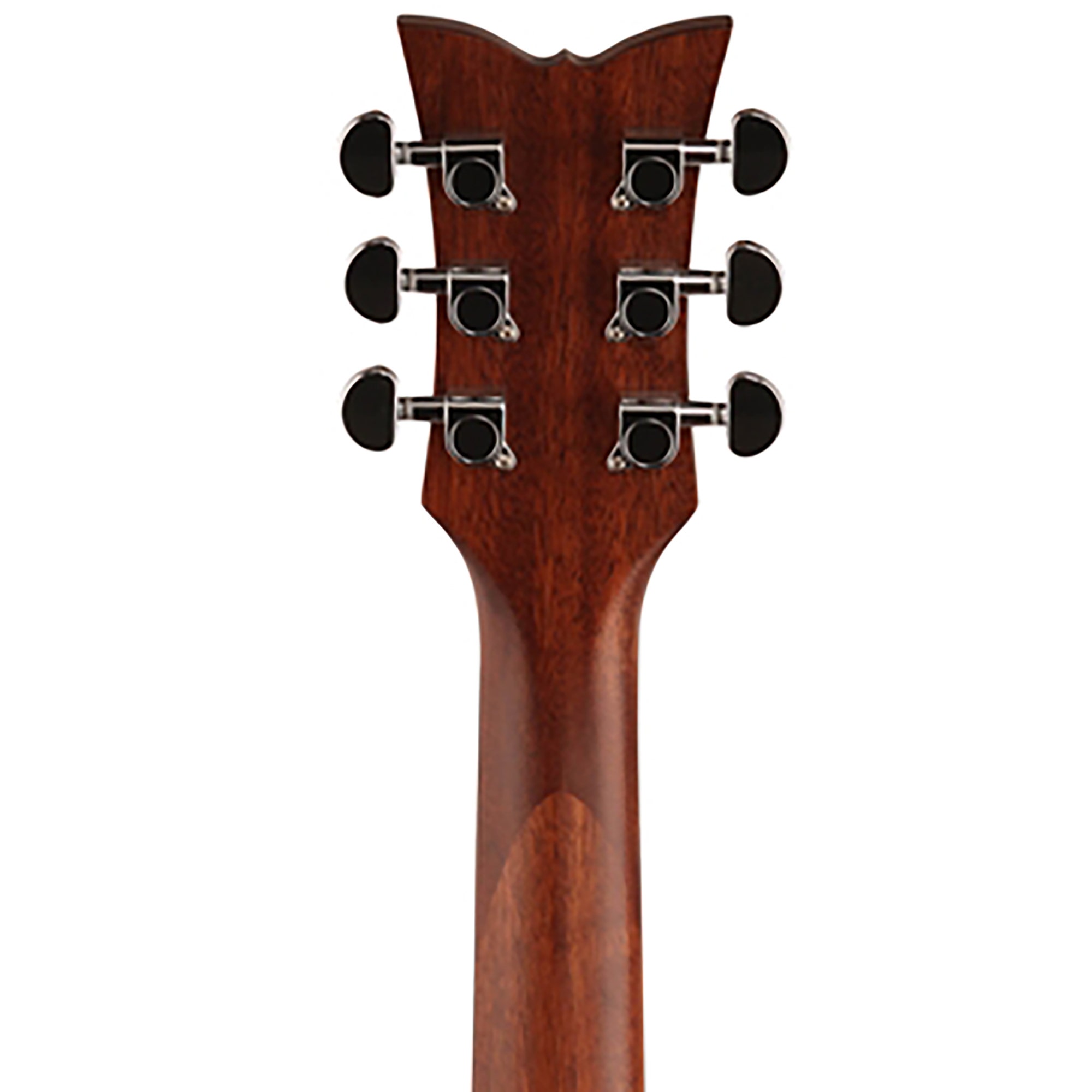 Schecter Deluxe Acoustic Guitar | American Musical Supply