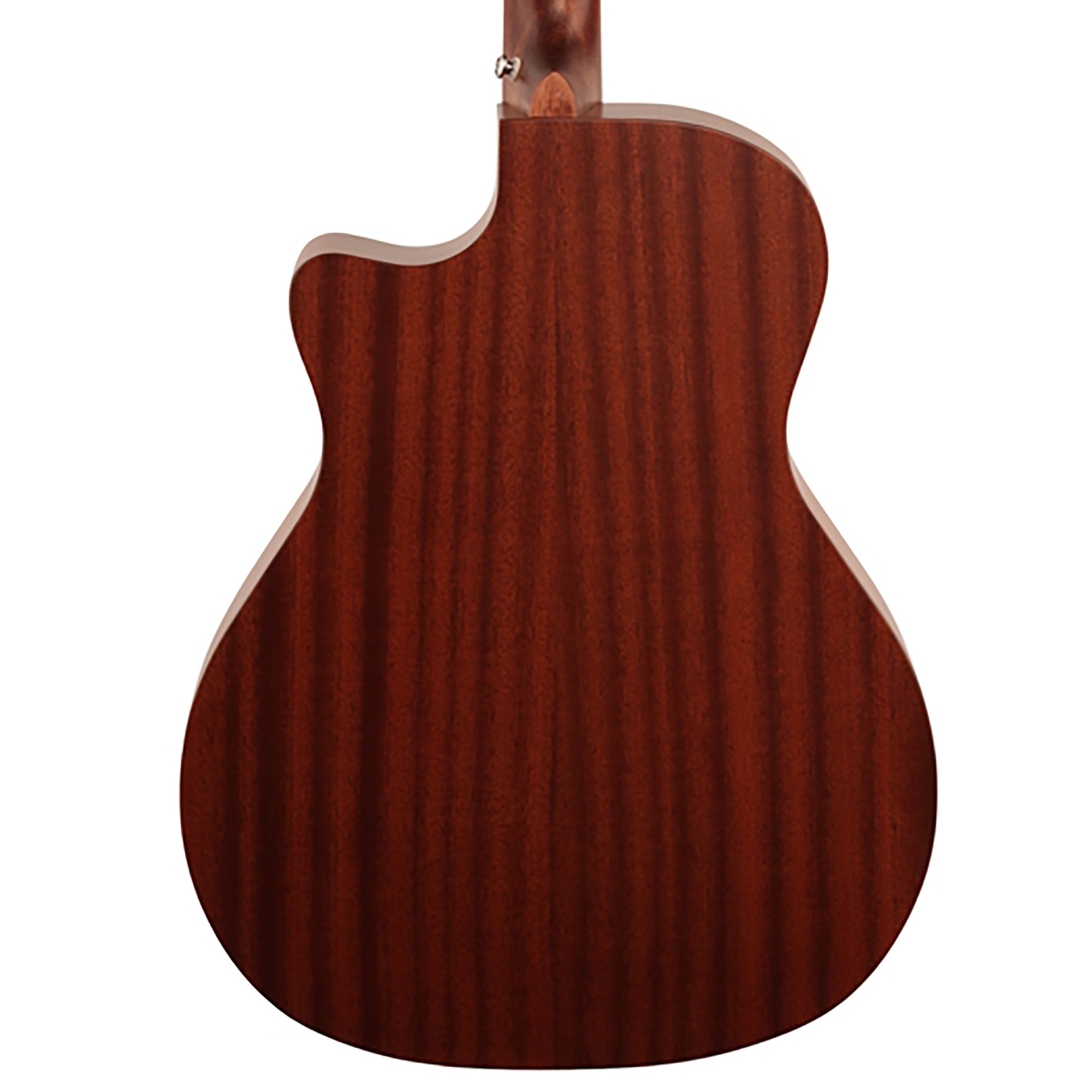 Schecter Deluxe Acoustic Guitar | American Musical Supply