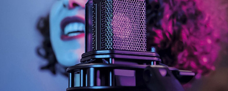 Lewitt LCT 440 PURE Large Diaphragm Cardioid Condenser Microphone ...
