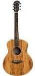 Taylor Guitars | American Musical Supply